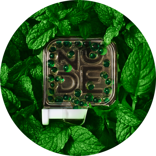 NUDE Mints Spearmint – Bold Freshness for Breath & Gut – NUDE MINTS